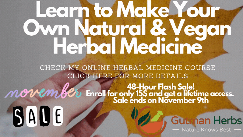 Herbal First Aid Kit: Make Your Own Herbal Medicine